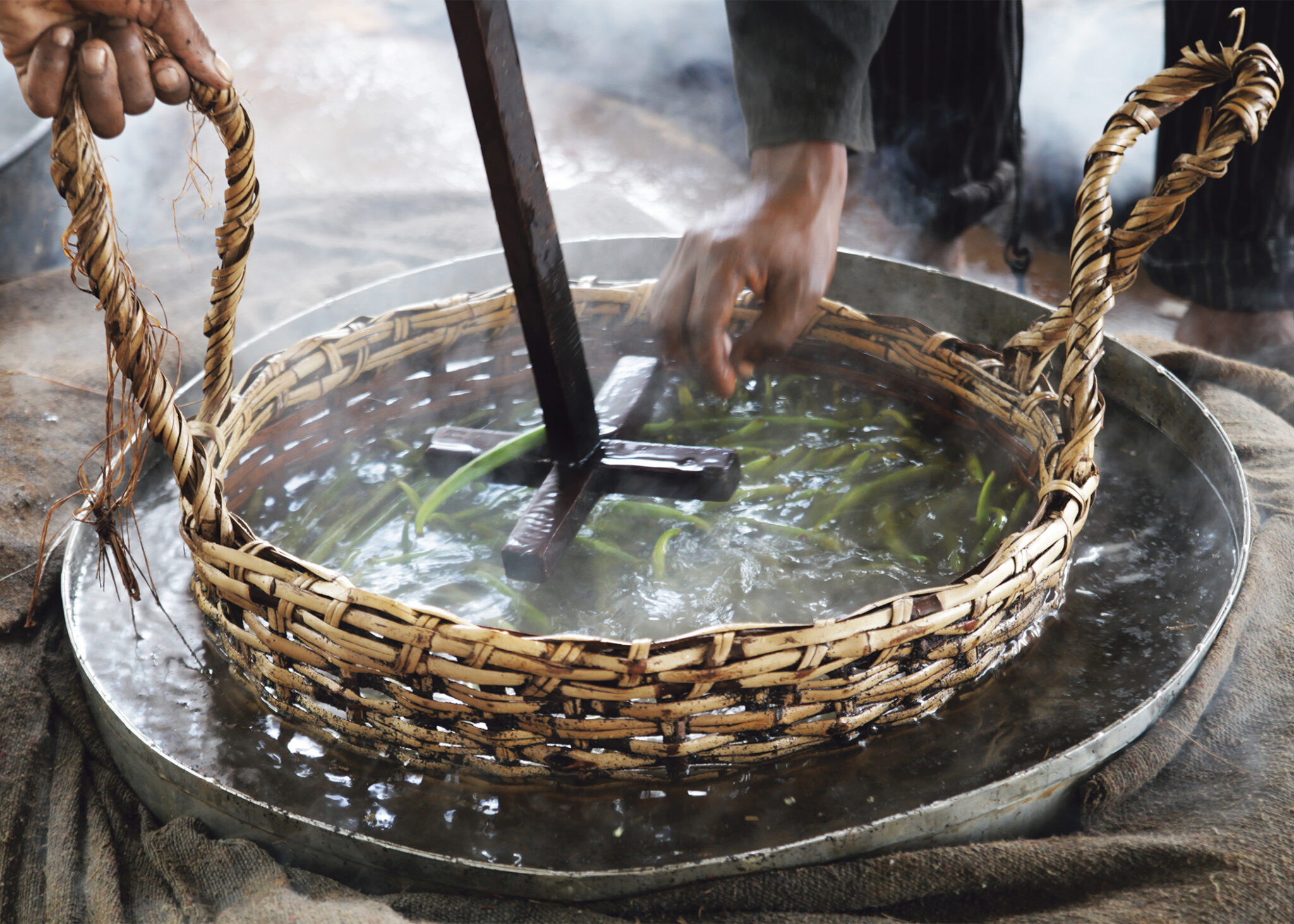 Madagascar: Queen Vanilla - always inspiring more...