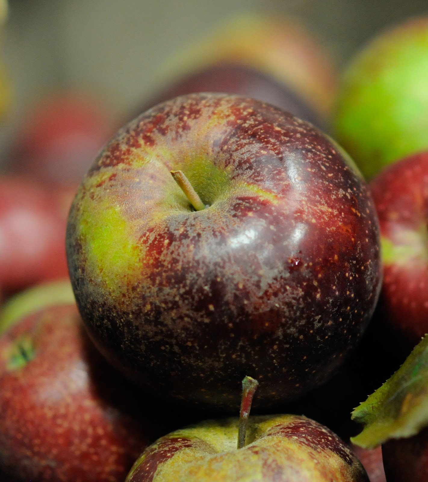 An Apple a Day - always inspiring more...