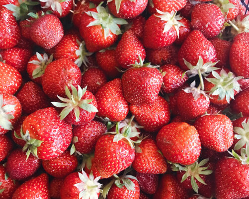 From Field to Fashion: Make strawberries your pick of this summer ...
